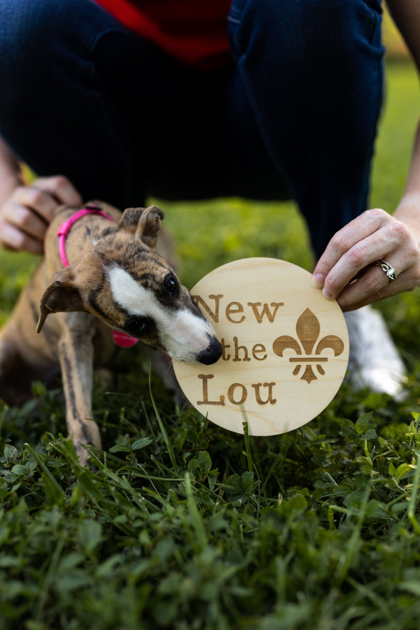 New to the Lou Sign – Roaming Druggist Shop
